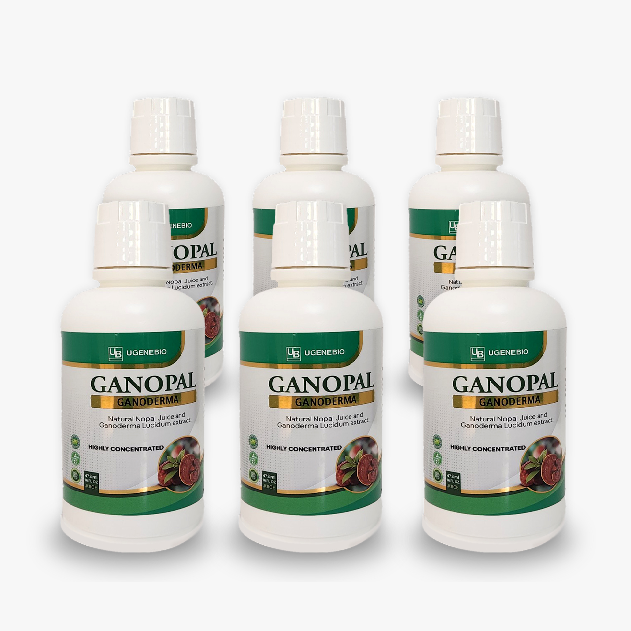 Ganopal Juice: 6 packs - uGenebio Main